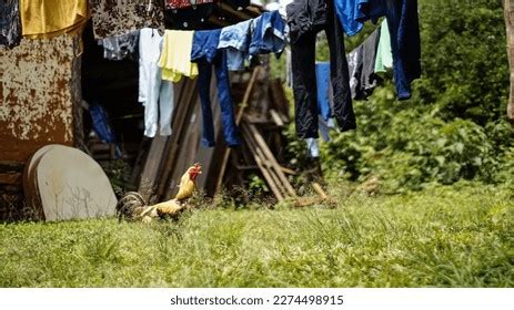 1 280 Step Back Time Images Stock Photos Vectors Shutterstock 1 280 Step Back Time Images Stock Photos Vectors Shutterstock