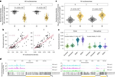 Nucleosome Positioning In The Genomic Compartments Of T Cruzi A