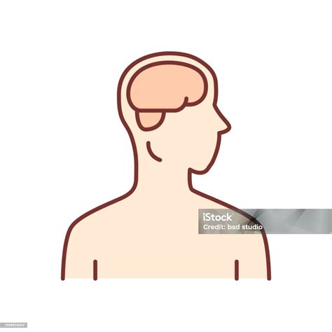 건강한 뇌 색 아이콘입니다 건강에 좋은 인간의 기관 사람들의 웰빙 기능 신경계 내부 신체 부위가 양호한 모양 건강에 좋은 정신 건강 격리 벡터 일러스트레이션 Mental