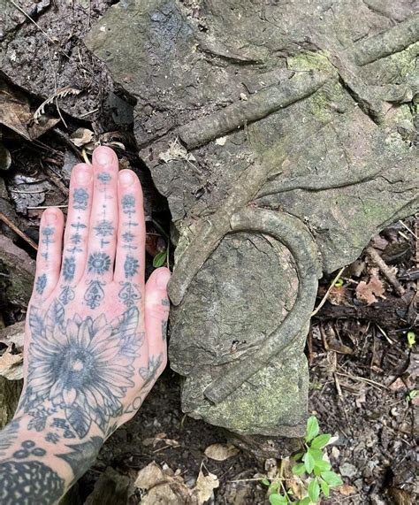 Worm Trace Fossils R Fossilid