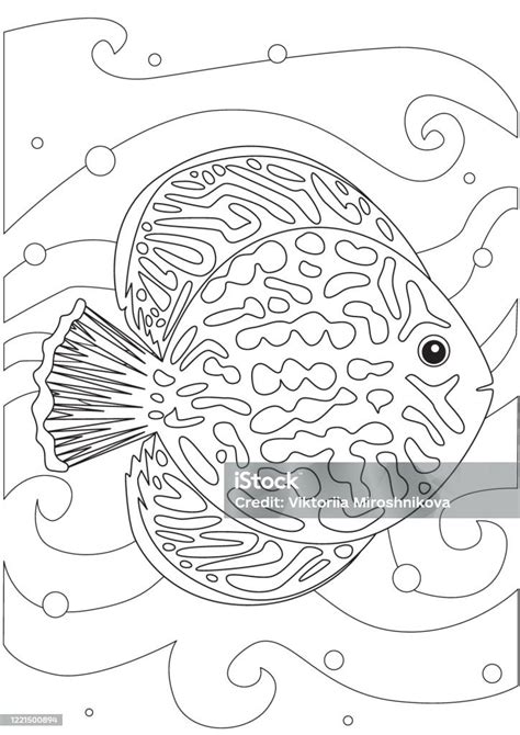 Coloring Page With A Discus Fish In A4 Format Outline Stock Vector