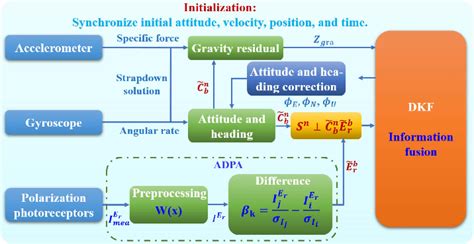 Figure 1 From Bio Inspired Antagonistic Differential Polarization