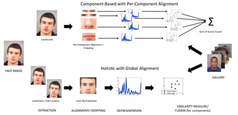 Outline Of The Per Component Alignment Performed To Yield The Proposed Download Scientific