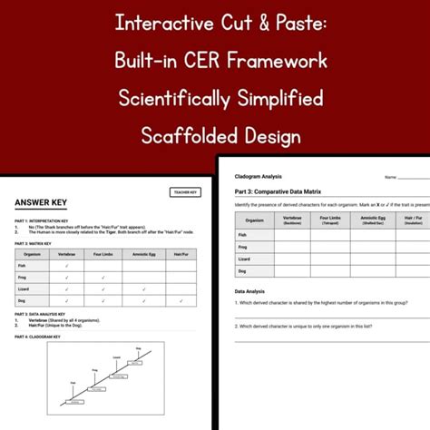 Cladogram Activity Evolution And Classification Lab Cut And Paste No Prep