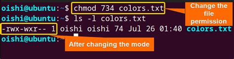 Bash Files And Directories Linuxsimply