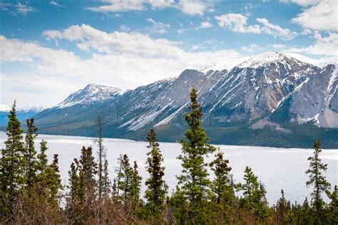 Lago Tagish Imagem De Stock Imagem De Azul Yukon Console 29959389