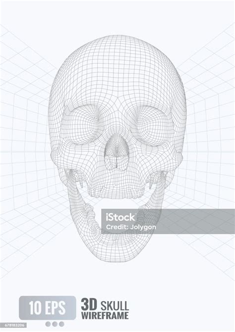 3d 와이어 프레임 화이트 Bg에 두개골 전면 보기 로우 폴리곤 모델링에 대한 스톡 벡터 아트 및 기타 이미지 로우 폴리곤 모델링 미소 3차원 형태 Istock