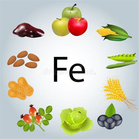 Food Iron Stock Illustrations Food Iron Stock Illustrations Vectors Clipart Dreamstime