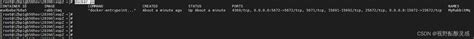 Docker拉取rabbitmq镜像并安装 Csdn博客