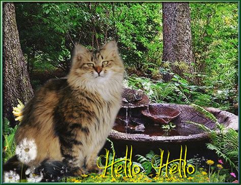 Vítejte U Lenky Hello Hello Cherry