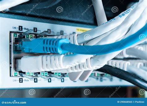 patch cables connected to data router stock image image of cable