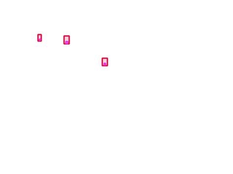 Lisa Traffic Light Dataset Ninja