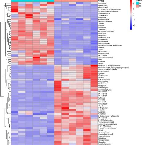 Hierarchical Cluster Analysis Of Metabolic Biomarkers Under