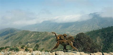 Massawa Archives Visit Eritrea