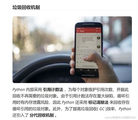 Python函数式编程（内存管理机制）pthon 开辟内存 Csdn博客