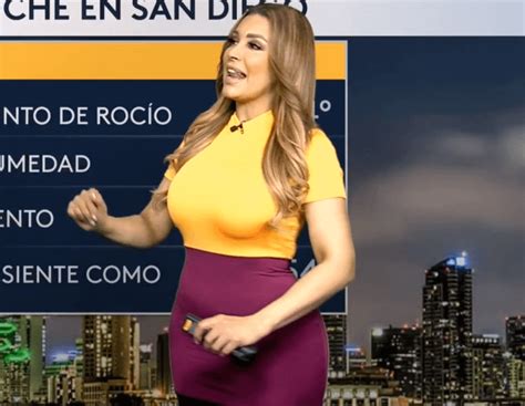 Janice Villagran Univision San Diego R Curvynewswomen