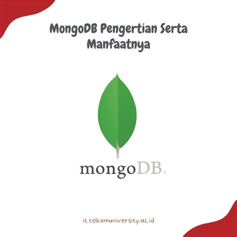 mongodb pengertian serta manfaatnya sebagai database management