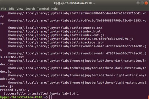 jupyter lab 启动后界面不正常 Issue neolee pilot GitHub