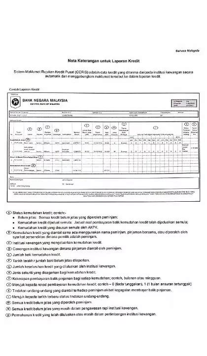 Ccris Bnm How To Review Eccris Reports Online Without Going To The Bank Trp