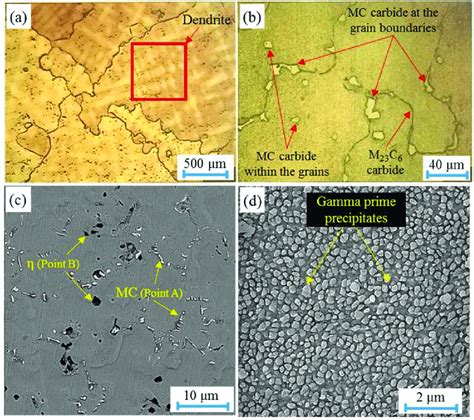 Microstructure Of The Bm Under Casting Conditions A Dendrite