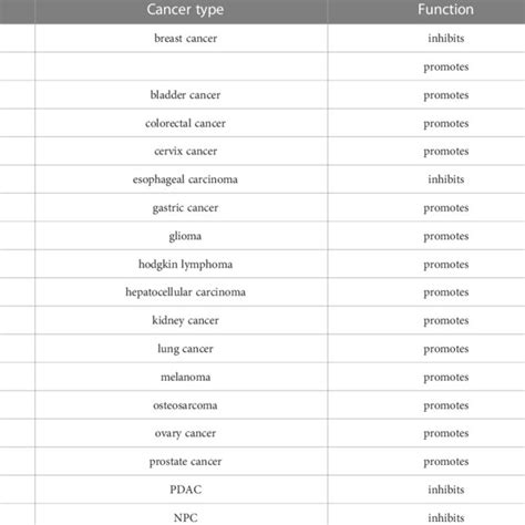 Expression Profile And Function Of Yy1 In A Variety Of Tumors