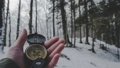 Is Elasticsearch A Vector Database A Complete Guide ML Journey