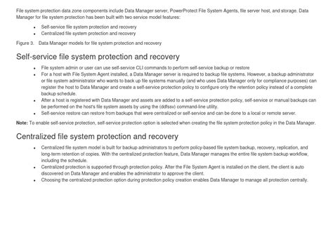 Data Manager Models For File System Protection And Recovery Dell Powerprotect Data Manager