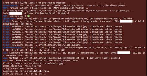 Bike Rider Helmet Detection Documentation