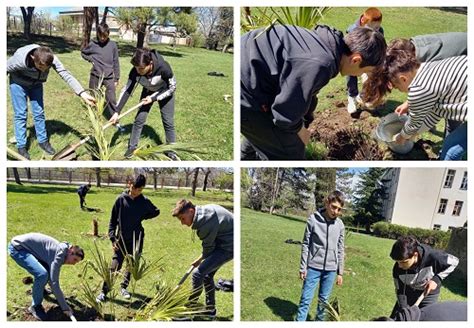 ჯიმითის საჯარო სკოლის ეზოში პალმის ნერგები დაირგო ეტალონი
