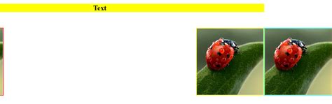 Why Doesnt My Database Load From Heroku Cleardb When In Heroku App