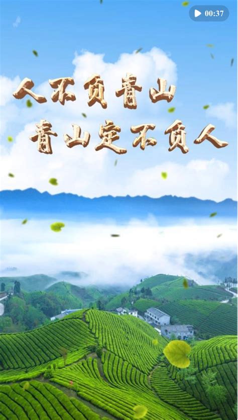 平语近人 人不负青山，青山定不负人 海口网