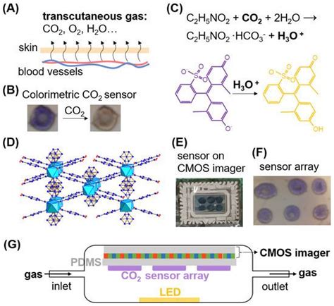 A Metal Organic Framework Based Colorimetric Sensor Array For… Syed