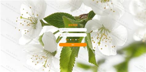 基于springboot vue的论坛系统 前后端分离 含参考论文开题报告等