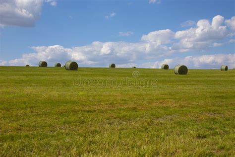 Grass Field Agricultural Industry Grass Harvesting Machinery Or Grass