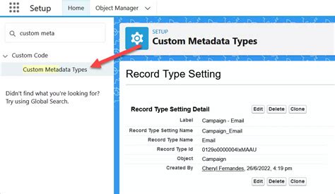 how to setup custom metadata types for record types blu ninjas