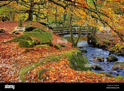 Uk Derbyshire Peak District Padley Gorge Waterfalls And Footbridge