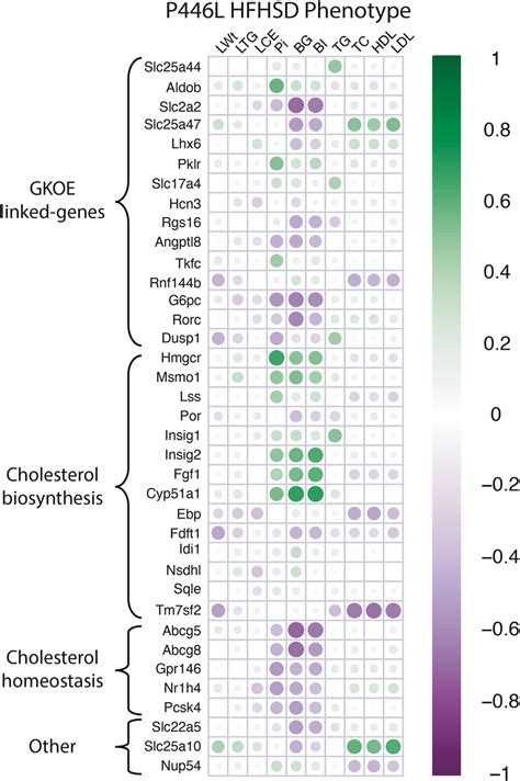 Correlation Of Liver Transcripts With Phenotypic Traits In The P446l