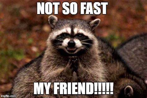 Evil Plotting Raccoon Meme Imgflip