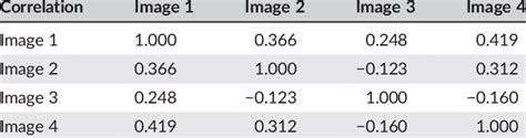 correlation between synthetic images download table