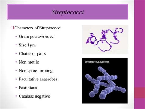 Lecture 5 Staphylococcus PPT