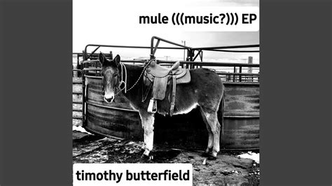 Mule Youtube