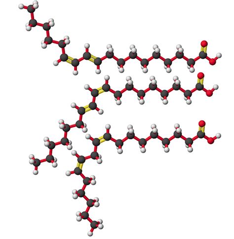 Linoleic Acid Structural Diagram Structure Of Linoleic Acid