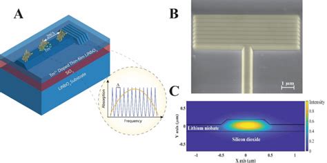 A A Schematic Illustration Of The Thulium Doped Thin Film Lithium