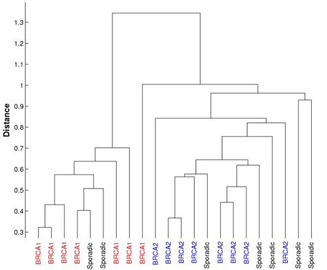 Hierarchical Clustering Of BRCA Data Using Selected Genes Hierarchical Download Scientific
