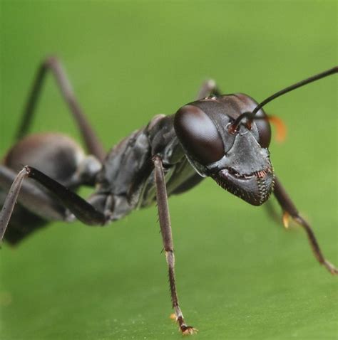 10 Best Amazon Rainforest Private Tours 20252026 Tourradar