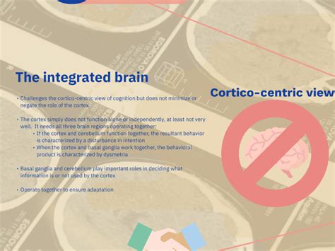 Cortical And Subcortical Brain Structures By Carolina Zapata Gimenez On Prezi
