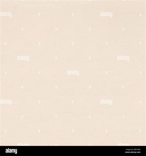 Seamless Plain Wallpaper Texture