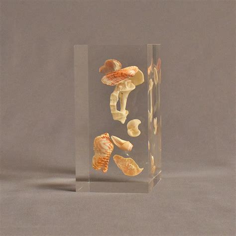 Array Rectangle Block Acrylic Embedment 6 Usacrylicawards