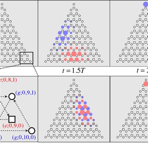 Pdf Schr Odinger Cat States Generation By Synthetic Spin Orbit Interaction In Fock State Lattices