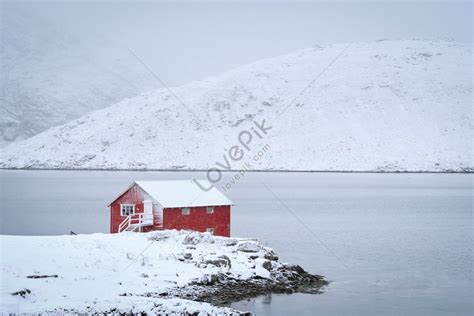 겨울에 폭설이 내리는 로포텐 제도의 피요르드 해안에 있는 전통적인 레드 로부 하우스 사진 사진 무료 다운로드 Lovepik